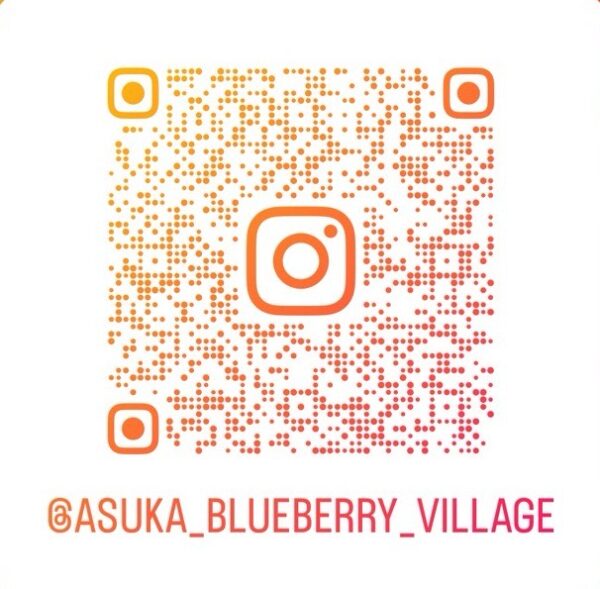 インスタグラムをオープンしました！